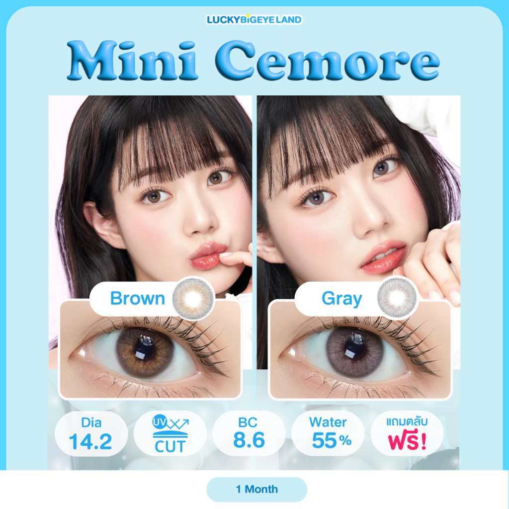 คอนแทคเลนส์ Mini Cemore Brown / Gray (Kitty Kawaii) ขนาดมินิ 🌷 | Shopee ...