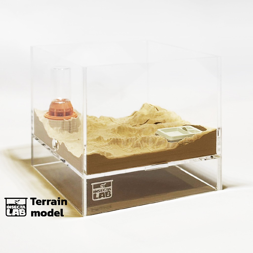 ภูมิประเทศจำลอง สำหรับตกแต่ง OW (Insecta Lab’s terrain model) *ไม่รวม ...