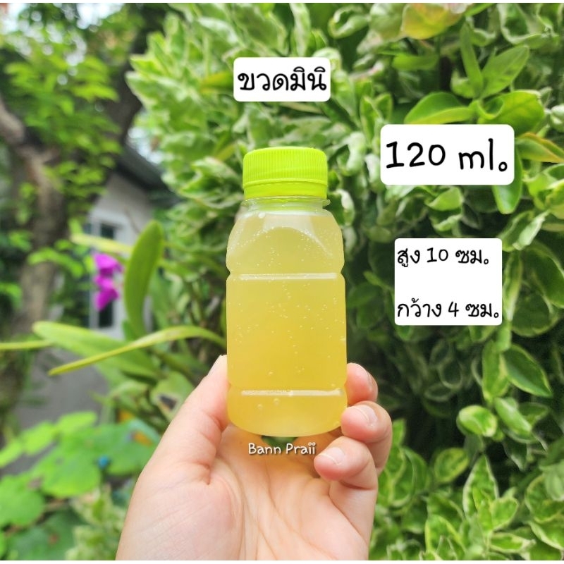 (แพ็ค 10 ใบ) ขวด+ฝา พลาสติก PET ขนาด 120 ml. ขวดมินิ | Shopee Thailand