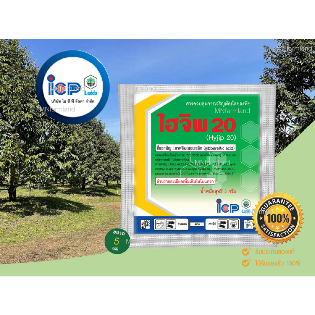 ไฮจิพ 20 5 กรัม 1 เม็ด l ICP Ladda l ใช้ควบคุมการยืดช่อดอกของไม้ผล ...