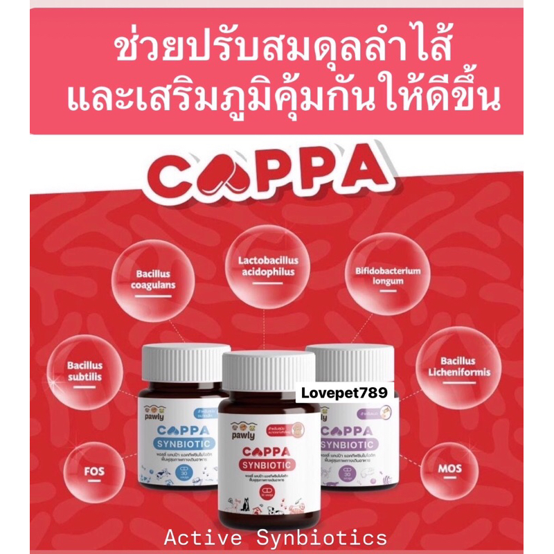 Pawly Cappa (30เม็ด/กระปุก) ปรับสมดุลลำไส้ ลดถ่ายเหลว ด้วยแอคทีฟซินไบโ ...