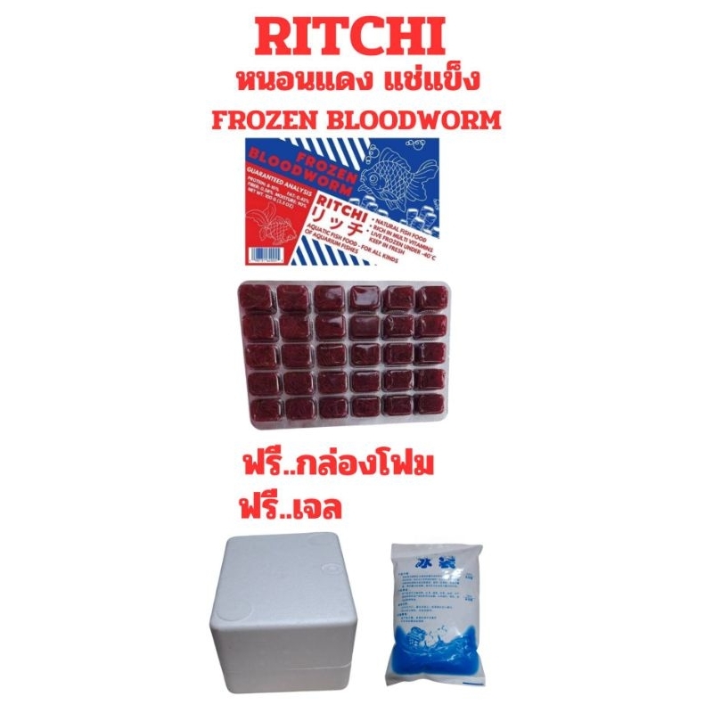 หนอนแดงแช่แข็ง RITCHI📌เกรดPREMIUM📌‼️ฟรี +กล่องโฟม‼️ ฟรี+ เจล แบรนด์ชั้น ...