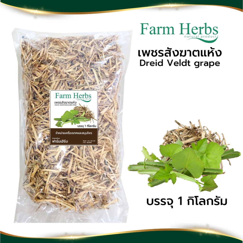 เพชรสังฆาตแห้ง Dreid Veldt grape ตราฟาร์มเฮิร์บ ขนาด 1 กิโลกรัม ...
