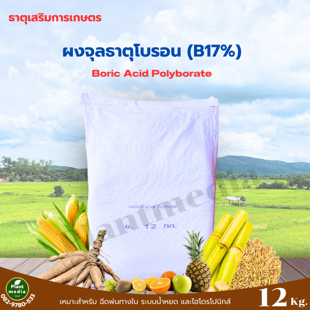 โบรอนผง 17% ผงละเอียด Polyborate ยี่ห้อ SQM บรรจุ 12 กิโลกรัม | Shopee ...