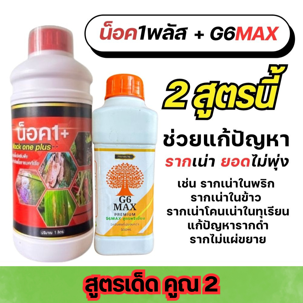 น็อควัน+G6MAX สูตรคู่กู้รากเน่า ป้องกันยับยั้งโรค เชื้อราในข้าว เชื้อราพืช ราดำ รวงข้าวเน่า ...