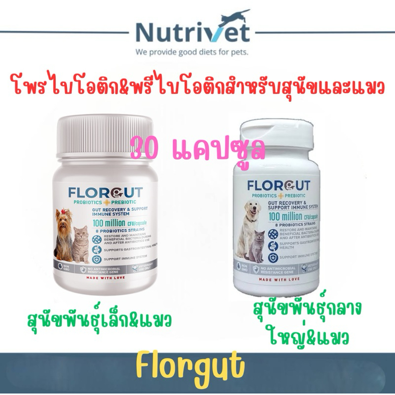 Florgut โพรไบโอติก&พรีไบโอติกสำหรับสัตว์เลี้ยงช่วยรักษาสมดุลของ ...