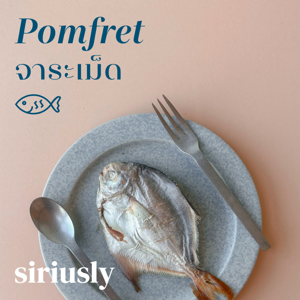 Freeze-dried pomfret dog chew by Siriusly ขนมเคี้ยวปลา จาระเม็ด แช่แข็ง ...