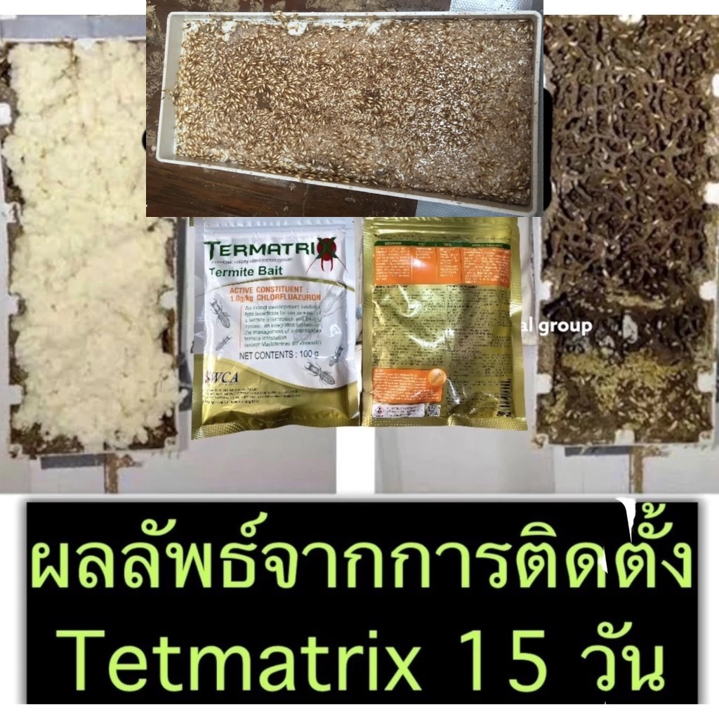 🔥ล็อตใหม่ล่าสุด เหยื่อปลวก 3แถม1 เหยื่อกำจัดปลวก ฆ่าปลวกตายยกรัง Termatrix กำจัดปลวก ยาปลวกอาหาร ...