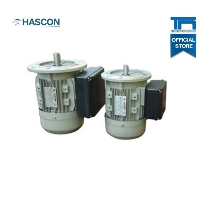 HASCON 0.37kW 4P B5 M 220V ec switch มอเตอร์ 1/2 แรง 4โพล หน้าแปลนไฟ ...