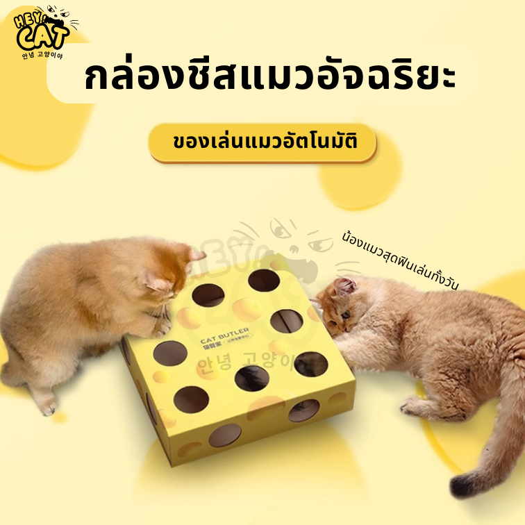 Heycat กล่องชีสแมวอัจฉริยะ ของเล่นแมว ของเล่นคลายเครียดแมว | Shopee ...
