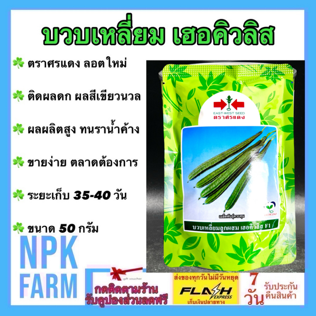 ศรแดง บวบเหลี่ยม เฮอคิวลิส 06/08/2569 [ 50 กรัม ] ผลดก สีเขียวนวล ผลผลิตสูง ปลูกได้ทั้งปี ...