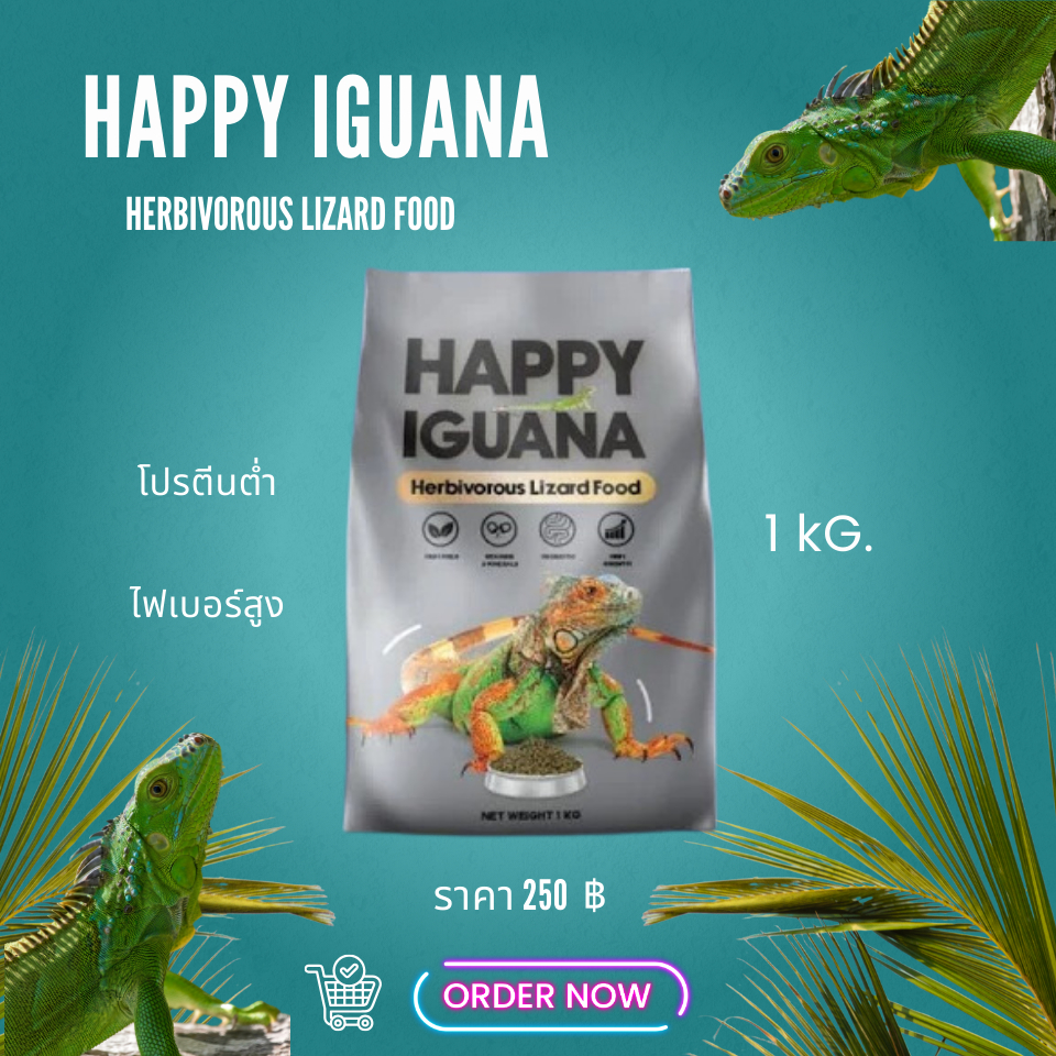 พร้อมส่ง!! ใหม่ HAPPY IGUANA ขนาด 1 กิโลกรัม | Shopee Thailand
