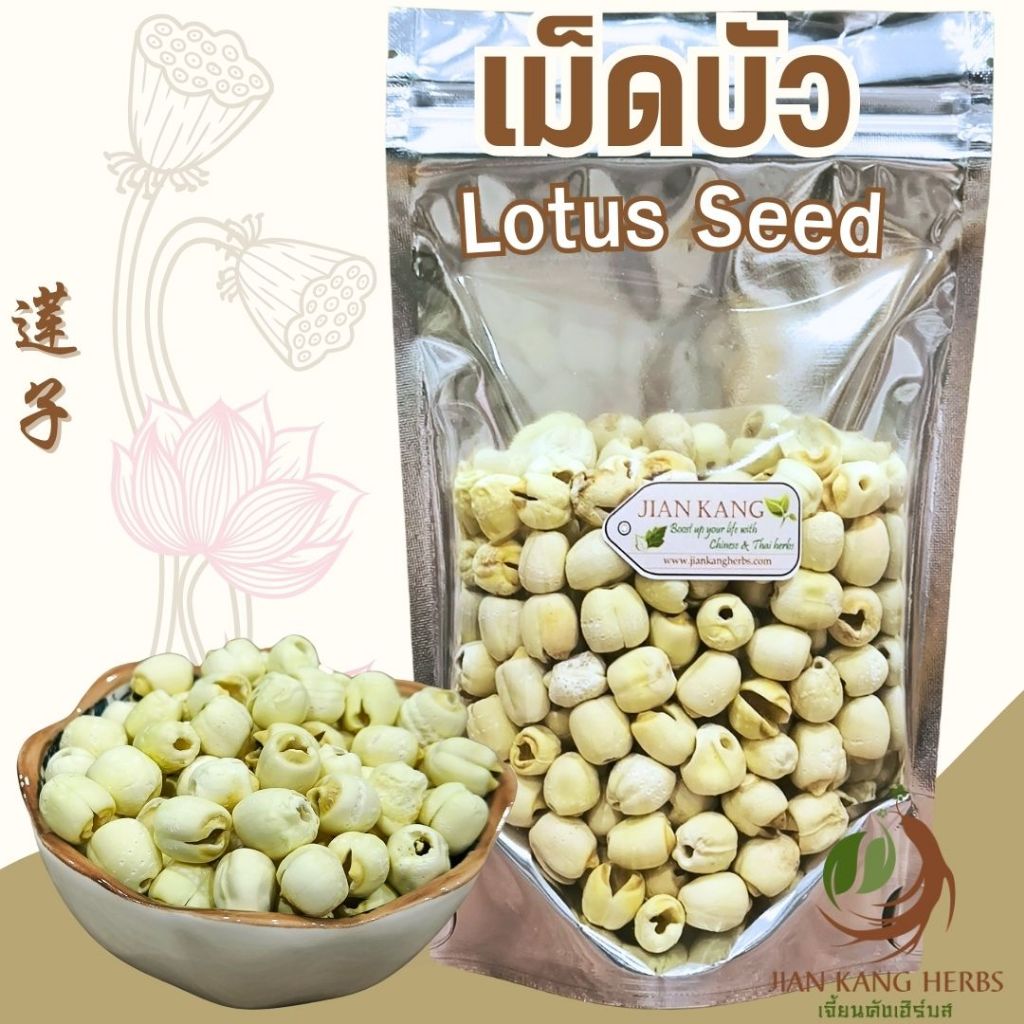 เม็ดบัว 50 100 250 กรัม แกะเปลือก เม็ดบัวจีน เมล็ดบัวแห้ง Lian Zi 莲子 ...