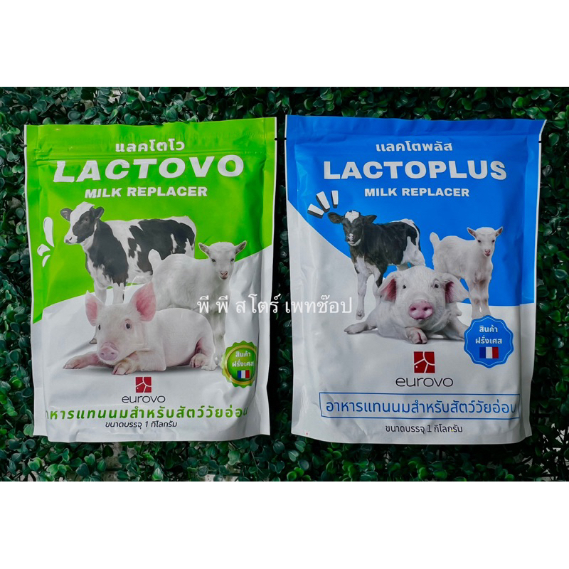 นมผงสำหรับสัตว์ เกรดพรีเมียม นำเข้าจากฝรั่งเศส Loctoplus/Lactovo ...