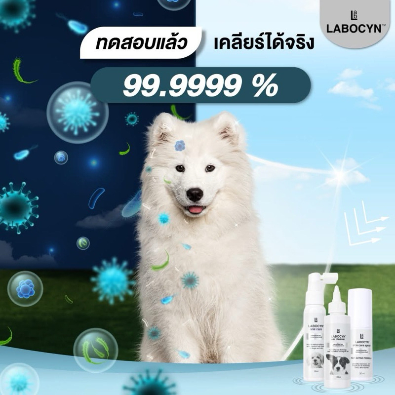 Labocyn spray 25-50 ml. | Shopee Thailand
