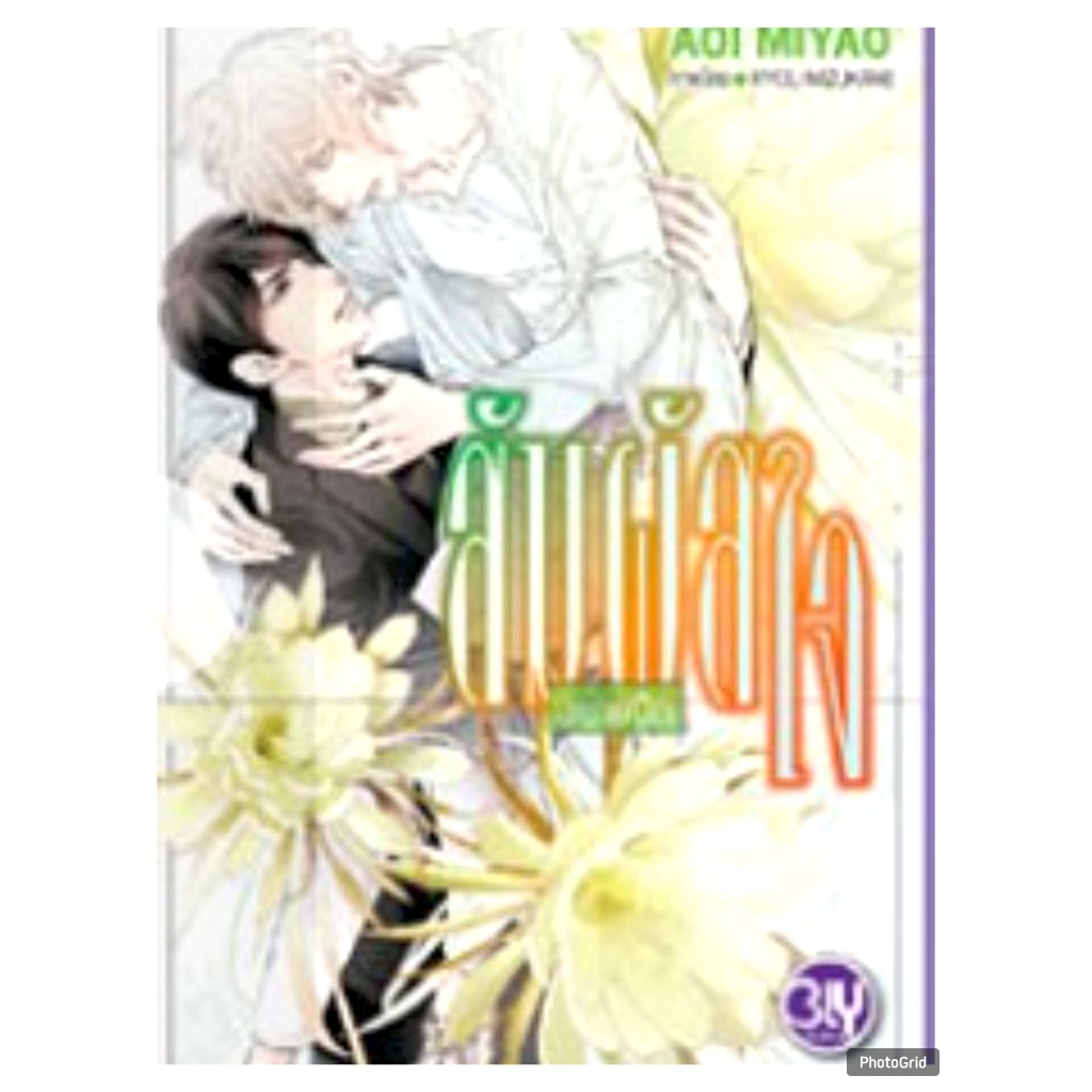 (PRE ORDER)(นิยาย) สัมผัสใจ -สยายปีก- เล่มเดียวจบ การ์ตูนวาย หนังสือการ์ตูนวาย BL มังงะ มือหนึ่ง ...