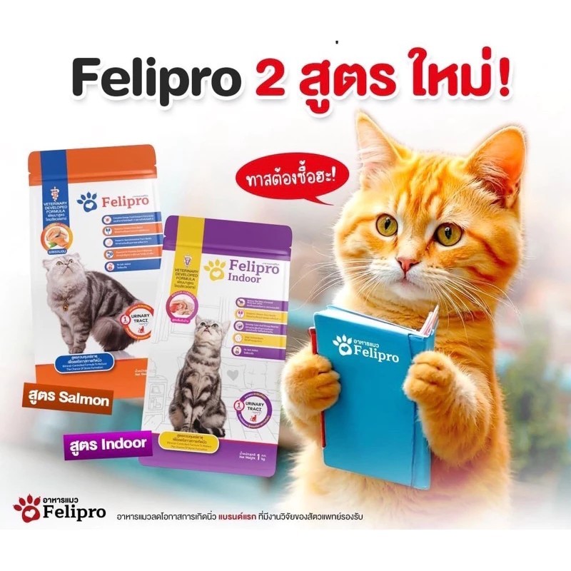 Felipro 1kg อาหารแมวเฟลิโปร สำหรับแมวทุกช่วงวัย ช่วยลดความเสี่ยงในการ ...