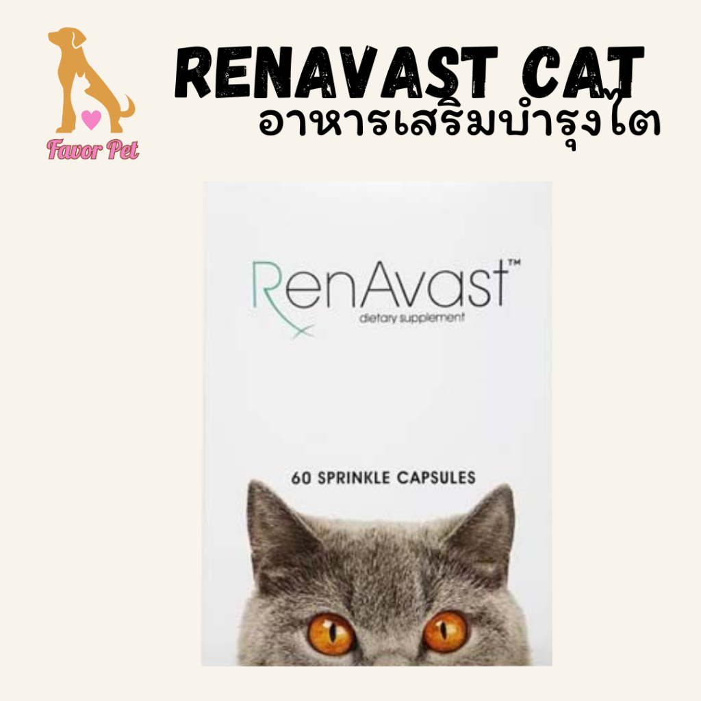 Renavast Cat อาหารเสริมบำรุงไต กรดอะมิโนจำเป็นสำหรับสุนัข และแมว เสริม ...