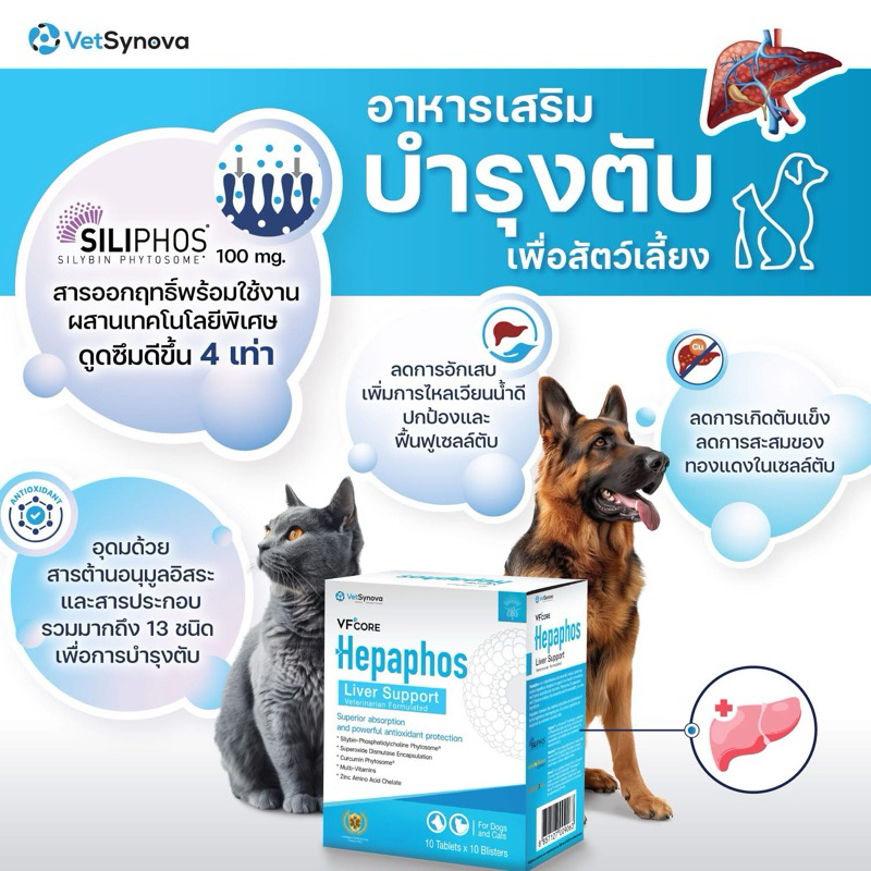 (( แบ่งขาย 1 แผง 10 เม็ด )) Hepaphos Exp.29/11/2026 บำรุงตับ สำหรับน้อง ...