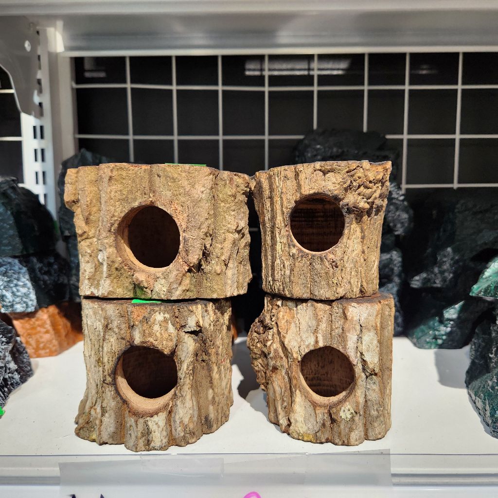 ถ้ำโพรงไม้ธรรมชาติ 🪵 Natural Cork Cave ที่ซ่อนสัตว์เลื้อยคลาน งู ตุ๊กแก ...