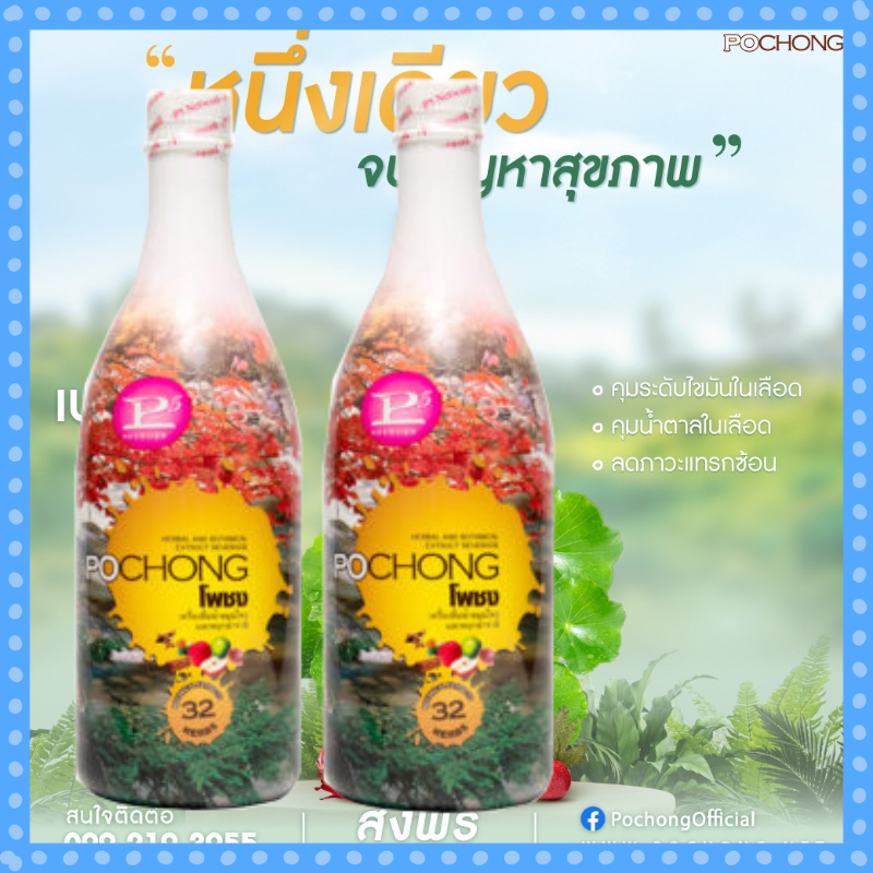โพชง พลัส Pochong PLUS เครื่องดื่มบำรุงสุขภาพ ปรับสมดุลการนอนหลับ โพชง ...