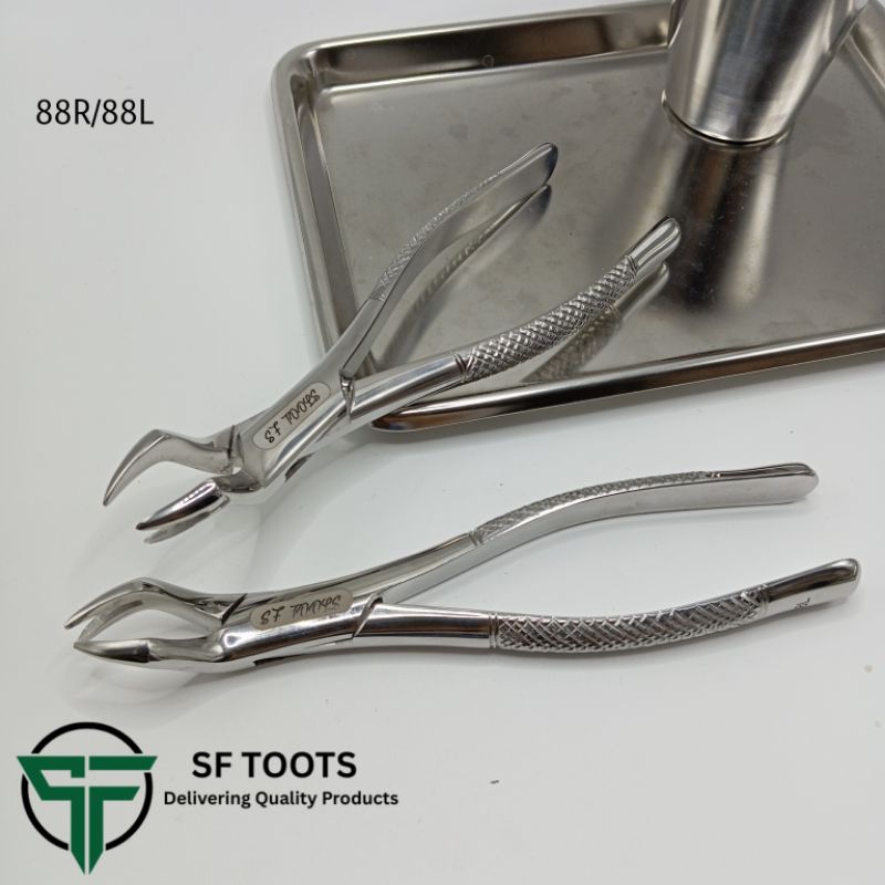 88R/88L extraction forceps คีมถอนฟัน | Shopee Thailand