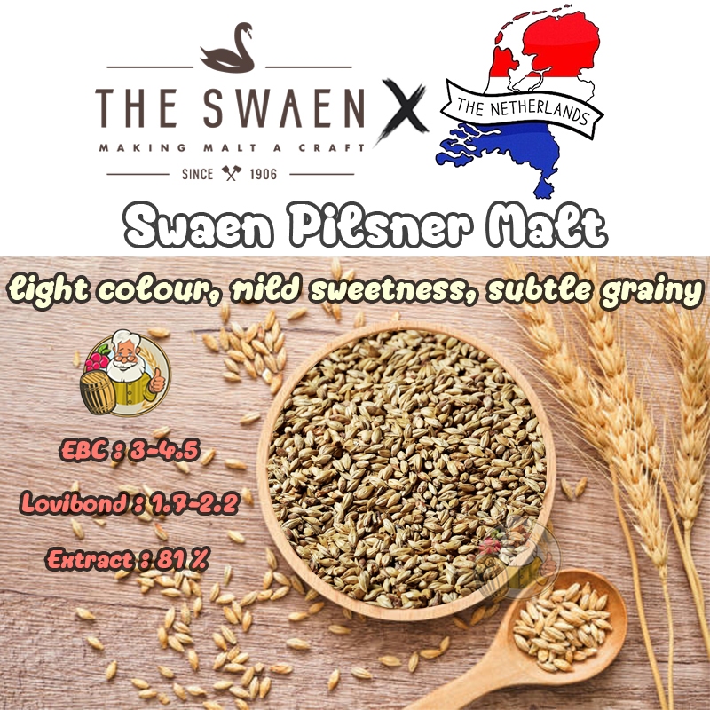 พิลส์เนอร์ มอลต์ Pilsner Malt THE SWAEN© Malt ทำเบียร์ เดอะ สวอน ...