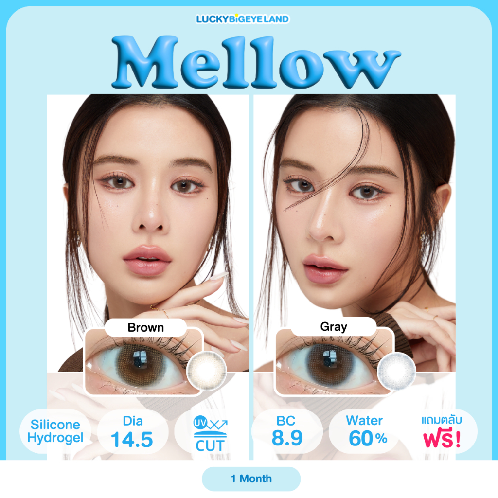 รุ่นเก้า เลนส์ไฮโดรเจล ⭐️ คอนแทคเลนส์ Mellow Brown / Gray (Mayalens ...