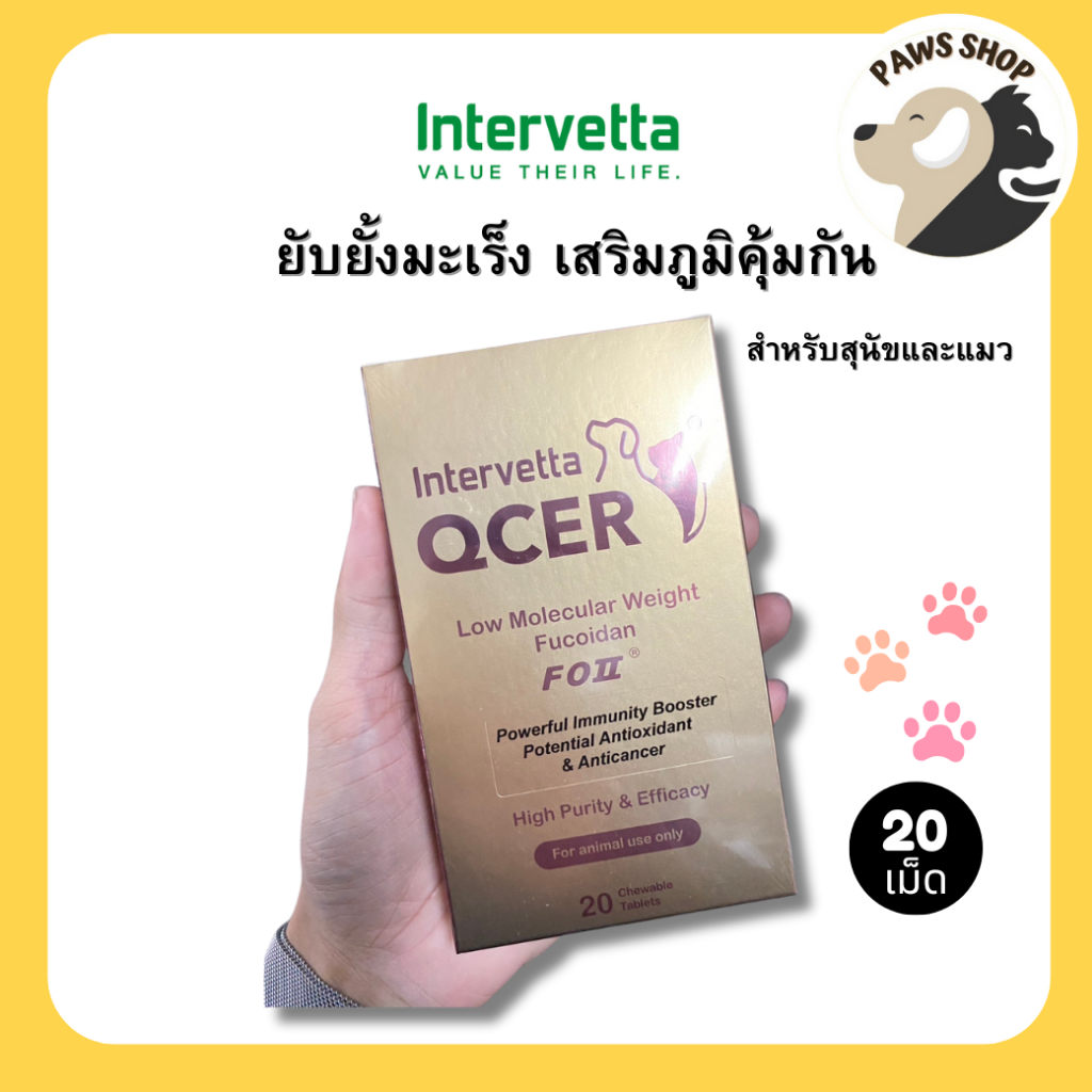 QCER [แท้💯] (คิวเซอร์) ำอาหารเสริมต่อต้านมะเร็ง เสริมภูมิคุ้มกันและปรับ ...