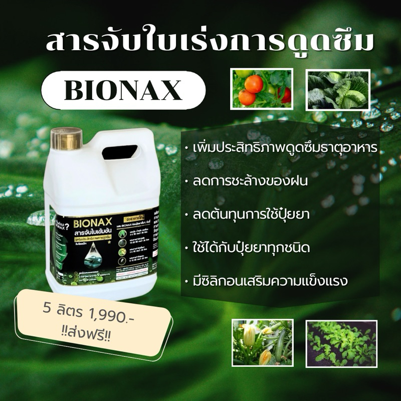 Bionax สารจับใบ สารเสริมประสิทธิภาพการดูดซึม (ขนาด 5 ลิตร) สุดคุ้ม ...