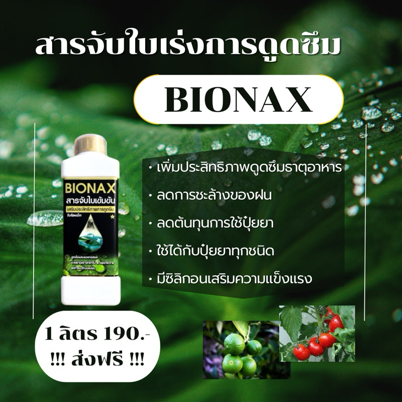 Bionax สารจับใบสูตรเข้มข้น สารเสริมประสิทธิภาพการดูดซึม (ขนาด 1 ลิตร ...