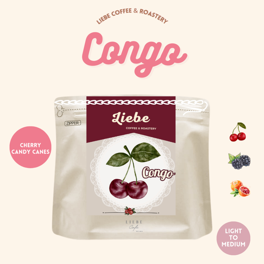 เมล็ดกาแฟ Cherry Candy Canes เมล็ดกาแฟ DR Congo SOPACDI | Shopee Thailand