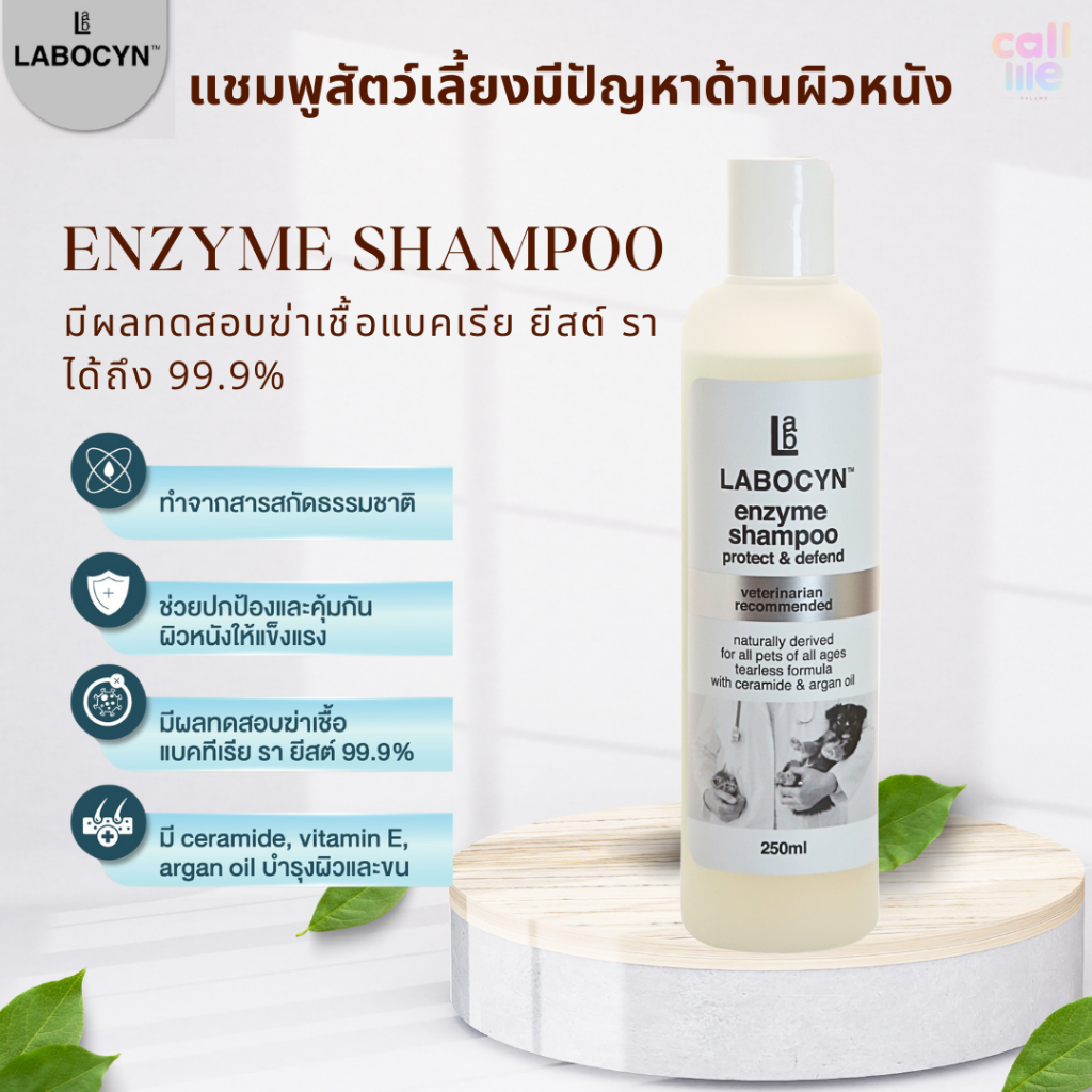 Labocyn Enzyme Shampoo แชมพูสัตว์เลี้ยง เสริมเกราะป้องกันผิวหนังให้ ...
