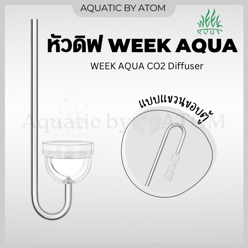 (พร้อมส่ง) หัวดิฟ CO2 สแตนเลสแบบแขวน Week Aqua CO2 Diffuser พร้อมกัน ...