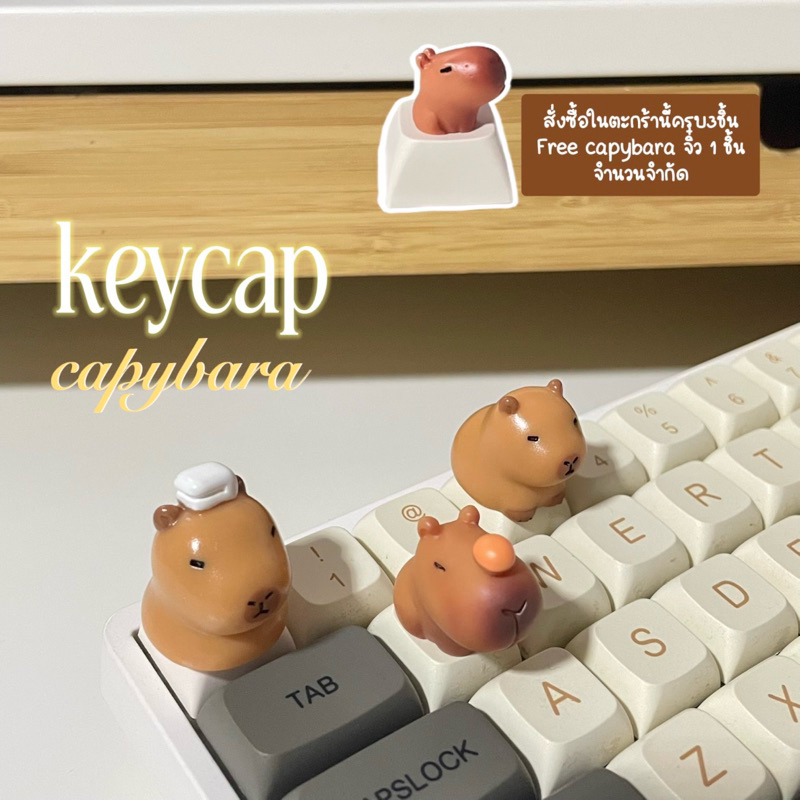 PNS051 [keycaps] คีย์แคป Capybara สำหรับ Mechanical Keyboard | Shopee ...