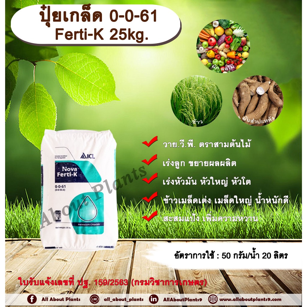 ปุ๋ยเกล็ด 0-0-61 Ferti-K 25kg. วาย.วี.พี. ตราสามต้นไม้ ปุ๋ยเกล็ด เร่ง ...