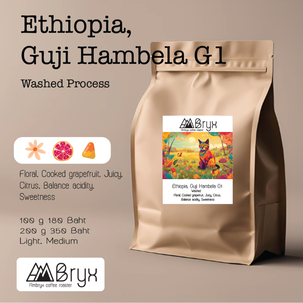 เมล็ดกาแฟ Ethiopia Guji Hambela G1 Washed เมล็ดกาแฟคั่ว ไม่บด | Shopee Thailand