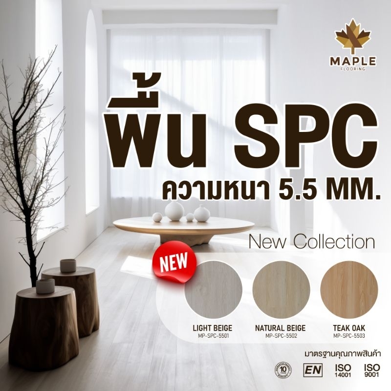 Maple Flooring SPC คลิกล็อค หนา 5.5 มม. (ไม่มีโฟมในตัว) Wooden SPC 5.5 ...