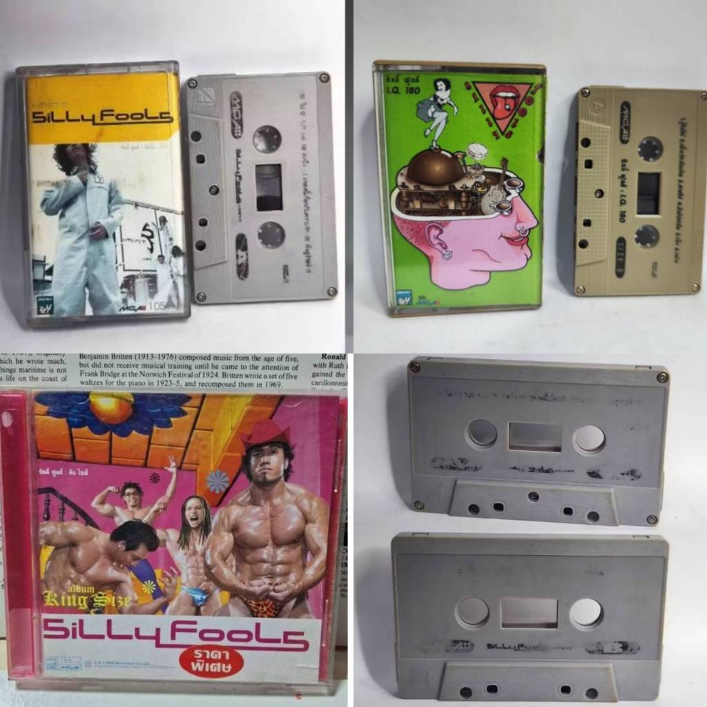 💿เทป/CD/แท้/มือ2 🎤ซิลลี่ ฟูลส์ Silly Fools อัลบั้ม Mint KING โต ซิลลี่ ...