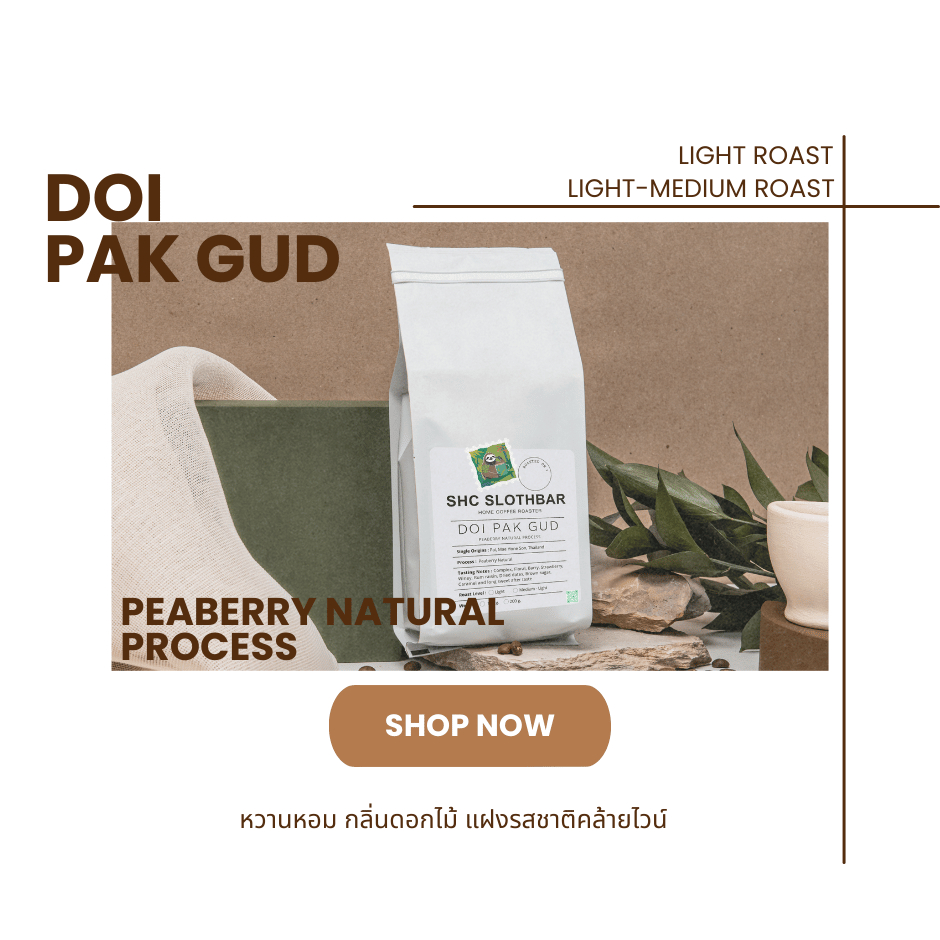 SHC SLOTHBAR เมล็ดกาแฟคั่ว Doi Pak Gud ดอยผักกูด Peaberry Natural Dry ...