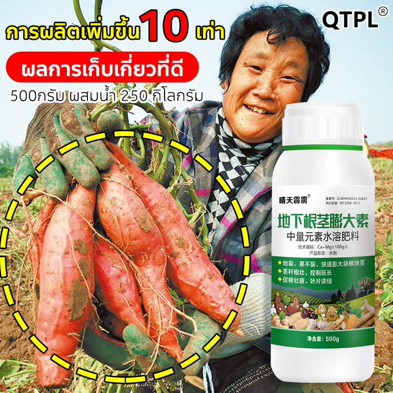 การผลิตเพิ่มขึ้น 10 เท่า QTPL ปุ๋ยเร่งหัวมัน 500g ฮอร์โมนมันสำปะหลัง ...