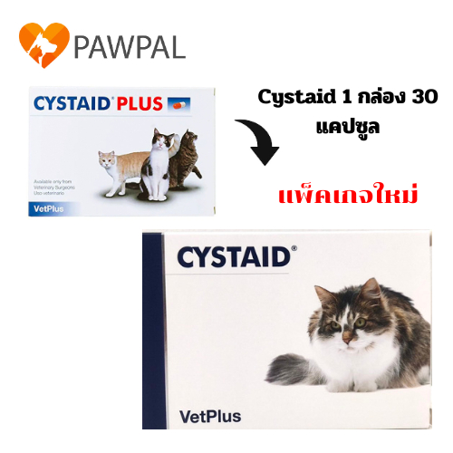 Cystaid Plus🔥ล็อตใหม่ Exp.31/7/2026 ของแท้ฉลากไทย ซิสเตท พลัส VetPlus ...