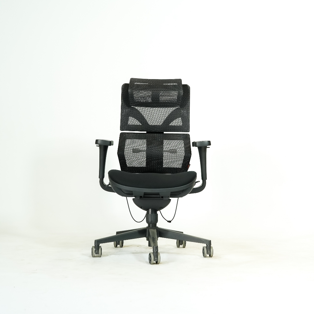 Ergotrend เก้าอี้เพื่อสุขภาพ รุ่น MALMO Light ตัวโชว์ (NO.4055) | Shopee Thailand