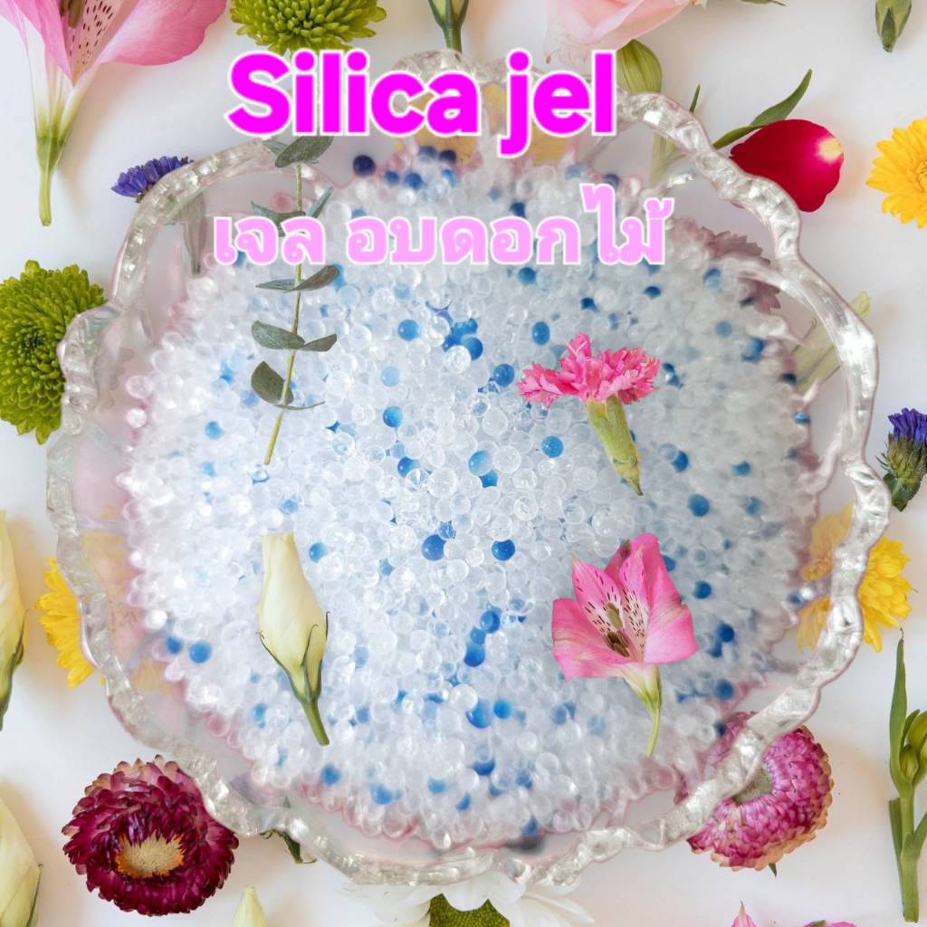 Silica jel สำหรับทำดอกไม้แห้ง ดูดความชื้น เม็ดกลม มีสีฟ้าและใส บรรจุในกระปุก 500 กรัม | Shopee ...