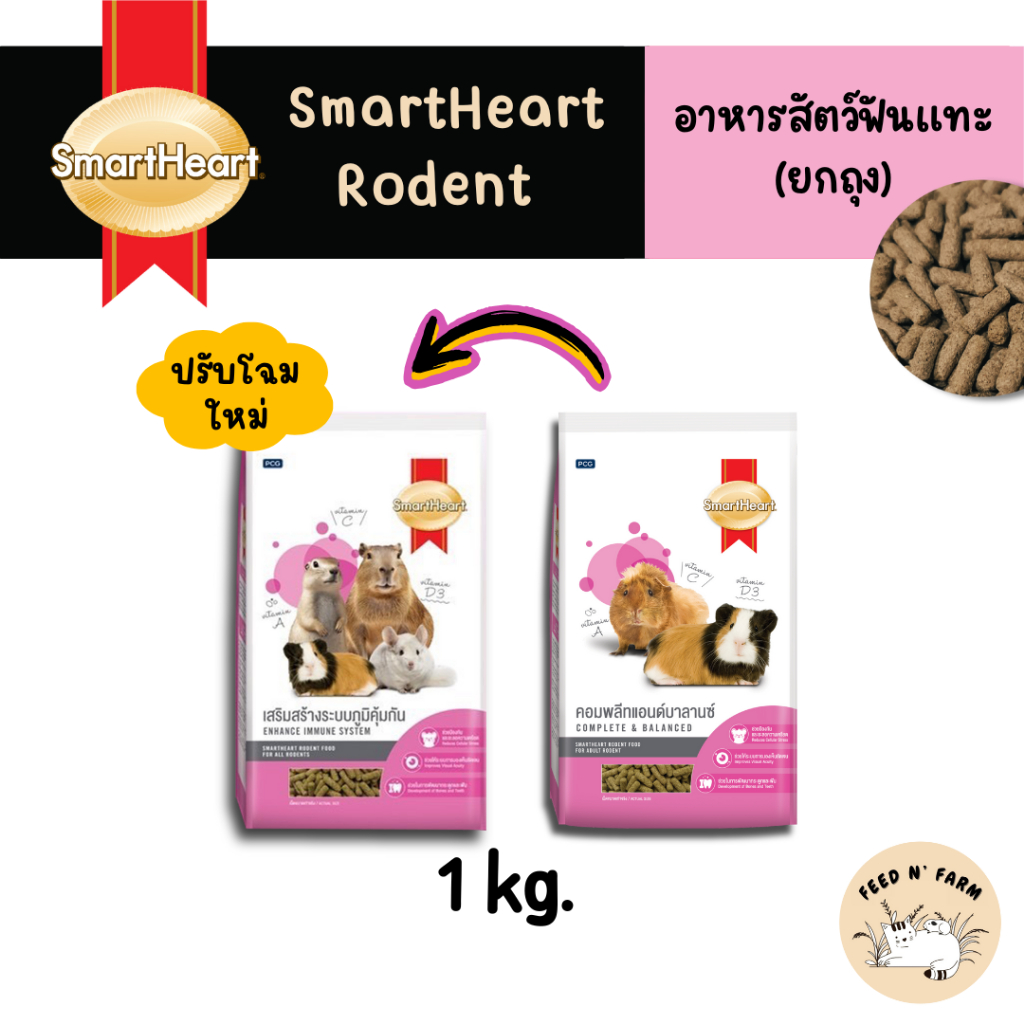 อาหารสัตว์ฟันแทะ SmartHeart Rodent สมาร์ทฮาร์ท แกสบี้ หนูตะเภา ชินชิล ...