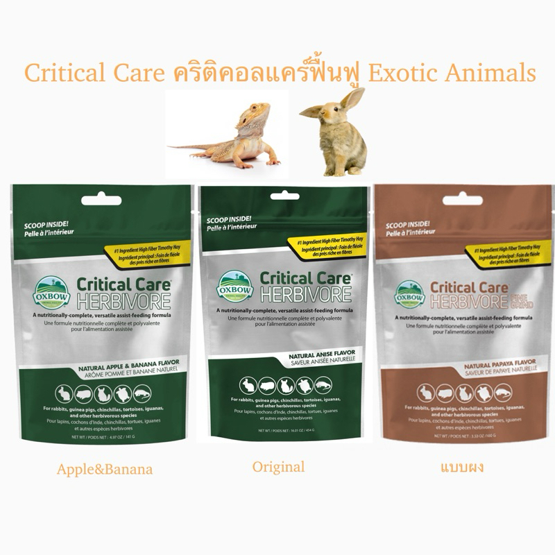 พร้อมส่ง Oxbow Critical Care ฟื้นฟูสัตว์ป่วยสำหรับ Exotic pets | Shopee ...