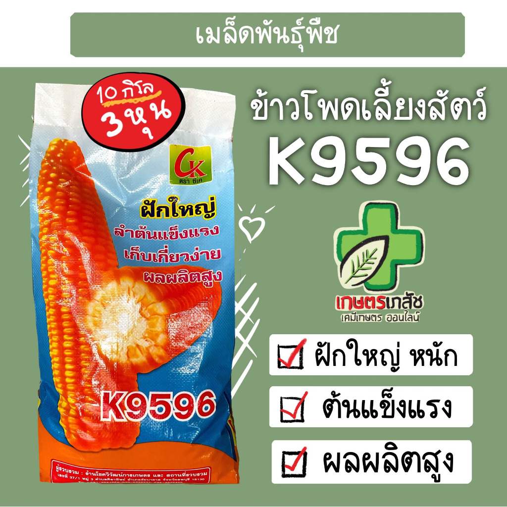 เมล็ดพันธุ์ข้าวโพดเลี้ยงสัตว์ 9596 ซีเค K9596 ตราซีเค | Shopee Thailand