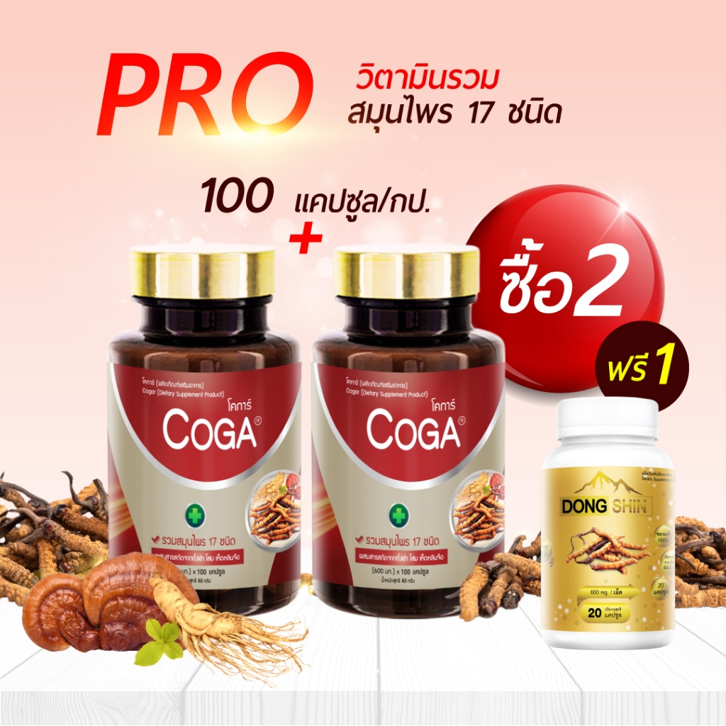Coga (ซื้อคู่) (100เม็ด/กป.) สมุนไพรรวม 17 ชนิด วิตามิน อาหารเสริม ...