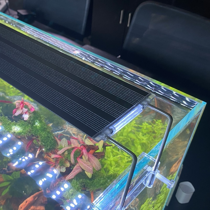 ไฟตู้ปลาตู้ไม้น้ำ Neo-Helios WRGB Vivid Soler Color 10000K | Shopee ...