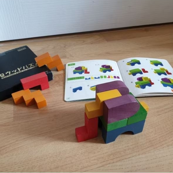 Wooden Block Puzzle บล็อกไม้ พร้อมคู่มือ แบรนด์ Benesse (รุ่น B ...